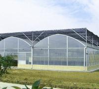 China Durable Multi Span Greenhouse Arched Roof Plastic Film Cover 0.12 /  0.15 /  0.20mm for sale