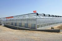 China Stable Structure Galvanized Steel Greenhouse Single / Double Layer Available for sale