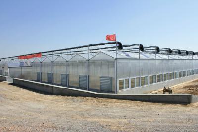 China Stable Structure Galvanized Steel Greenhouse Single / Double Layer Available for sale