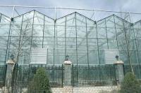 China Exhibition Commercial Outdoor Greenhouse , Flower Growing Large Green Houses for sale