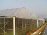 China Professional Polyethylene Film Greenhouse Temperature Range -40 To 60℃ For The Tropics for sale