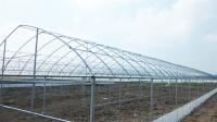 China Tunnel Polyethylene Film Greenhouse / Plastic Shed Simple Galvanized Steel Frame for sale