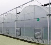 China Resource Saving Hydroponic Greenhouse Systems Commercial For Cultivation Leafy Vegetables for sale