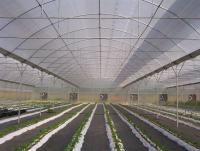 China Water Saving Commercial Hydroponic Greenhouse Easy Manage Without Regional Restrictions for sale