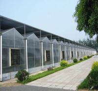 China Exhibition Venlo Greenhouse Structure , Polycarbonate Sheet Greenhouse High Output for sale