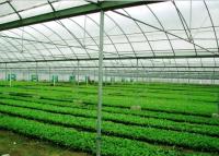 China Heat Preservation Dome Style Greenhouse , Plastic Film Greenhouse With Cooling System for sale