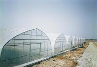 China Simply Structure Single Tunnel Greenhouse Dustproof Anti Mildew With Insect Net Available for sale