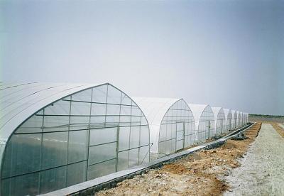China Simply Structure Single Tunnel Greenhouse Dustproof Anti Mildew With Insect Net Available for sale