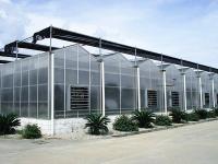 China Flower Multi Span Greenhouse / Venlo Style Greenhouse Cover Material Polycarbonate Sheet for sale