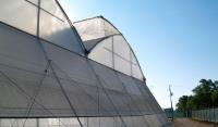 China Sainpoly Multi Span Greenhouse Agricultural / Commercial / Industrial Plastic Film Greenhouse for sale