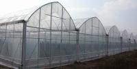 China Dropping System Multi Span Greenhouse , PE Diy Hydroponic Greenhouse Gutter Height 3.0-6.0m for sale