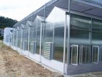China Anti Wind PC Sheet Greenhouse High Light Transmission Span Width 9.6 / 10.8 / 12m for sale