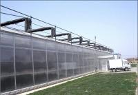 China Anti Wind PC Sheet Greenhouse High Light Transmission Span Width 9.6 / 10.8 / 12m for sale
