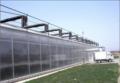 China Anti Wind PC Sheet Greenhouse High Light Transmission Span Width 9.6 / 10.8 / 12m for sale