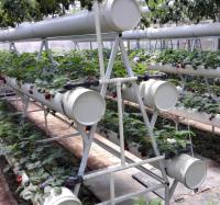 China Complete Large Strawberry Hydroponic Greenhouse Multifunctional Agriculture for sale