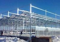 China Complete Glass Greenhouse Agriculture Turnkey Project With Tomato Hydroponics System for sale