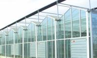 China Agricultural Intelligent Glass Multi Span Greenhouse Galvanized Steel Structure for sale