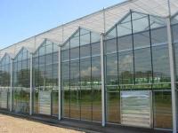 China Agricultural Intelligent Glass Multi Span Greenhouse Galvanized Steel Structure for sale