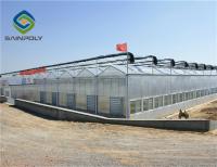 China Flower Glass Multi Span Greenhouse XS - GL9600 / 12000 Venlo Large Green Houses for sale