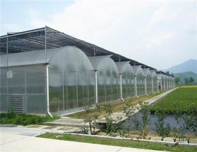 China Pc Sheet / Polycarbonate Sheet Greenhouse For Modern Organic Agriculture for sale