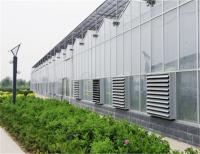 China Pc Sheet / Polycarbonate Sheet Greenhouse For Modern Organic Agriculture for sale