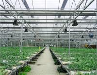 China Pc Sheet / Polycarbonate Sheet Greenhouse For Modern Organic Agriculture for sale