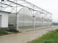 China Double Layer Dutch Bucket Commercial Hydroponic Greenhouse For Tomato Planting for sale