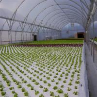China 100% Virgin Pvc Pipe Large Plastic Greenhouse Elliptical Shape Hydroponic Nft System for sale