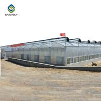 China 10.8m PC Sheet Greenhouse for sale