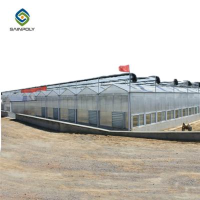 China 10.8m PC Sheet Greenhouse for sale