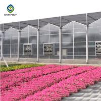 China 10.8m PC Sheet Greenhouse for sale