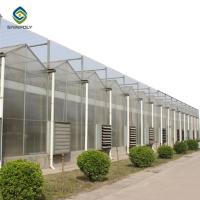 China 9.6m PC Sheet Greenhouse for sale