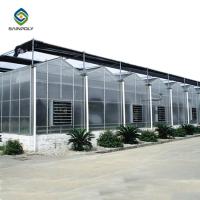 China 9.6m PC Sheet Greenhouse for sale