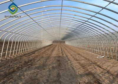 China 4M Polyethylene Film Greenhouse for sale