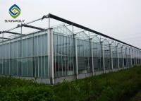 China 4m Commercial Glass Greenhouse for sale