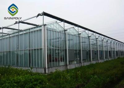 China 4m Commercial Glass Greenhouse for sale