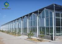 China 9.6m Commercial Glass Greenhouse for sale