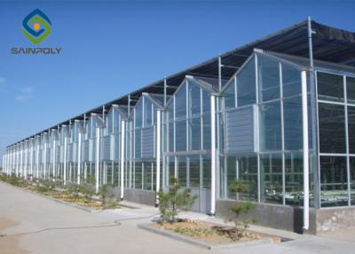 China 9.6m Commercial Glass Greenhouse for sale
