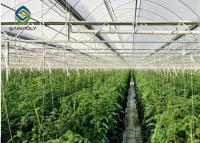 China Agricultural Plastic 8m 10m Single Tunnel Greenhouse for sale