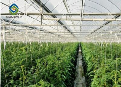 China Agricultural Plastic 8m 10m Single Tunnel Greenhouse for sale