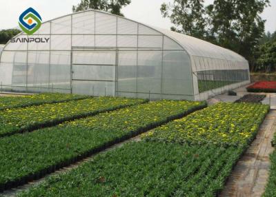 China 6m Single Tunnel Greenhouse for sale