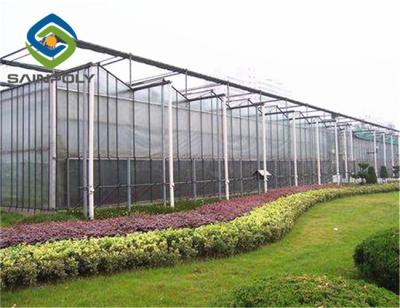 China 150N/MM Multi Span Glass  Greenhouse  of  cucumbers vegetable for sale