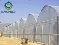 China Hot Galvanized Steel 8m Polyethylene Film Greenhouse for sale