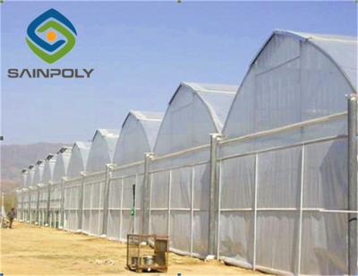 China Hot Galvanized Steel 8m Polyethylene Film Greenhouse for sale
