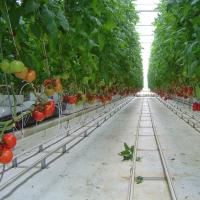 China UV Radiation Protection Layer 120km/H Multi Span Greenhouses for sale