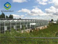 China 10.8m Cucumber Glass Greenhouse Intelligent Automatic Control for sale