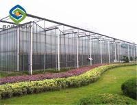 China 10.8m Cucumber Glass Greenhouse Intelligent Automatic Control for sale