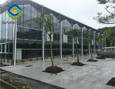 China 10.8m Cucumber Glass Greenhouse Intelligent Automatic Control for sale