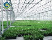 China 10.8m Cucumber Glass Greenhouse Intelligent Automatic Control for sale