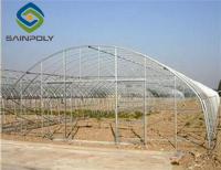 China Agricultural Tomato 12m Single Tunnel Greenhouse for sale